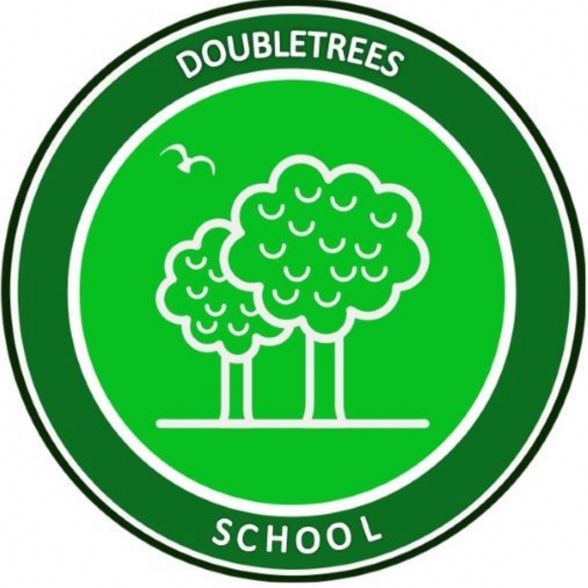 Doubletrees School - Teaching Assistant